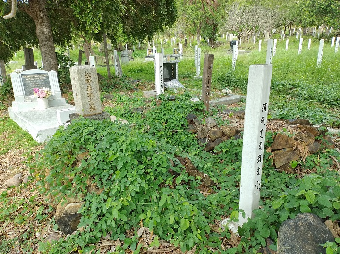 なぜここに？ オーストラリアの小島にある「日本人墓地」の謎 | サライ.jp｜小学館の雑誌『サライ』公式サイト